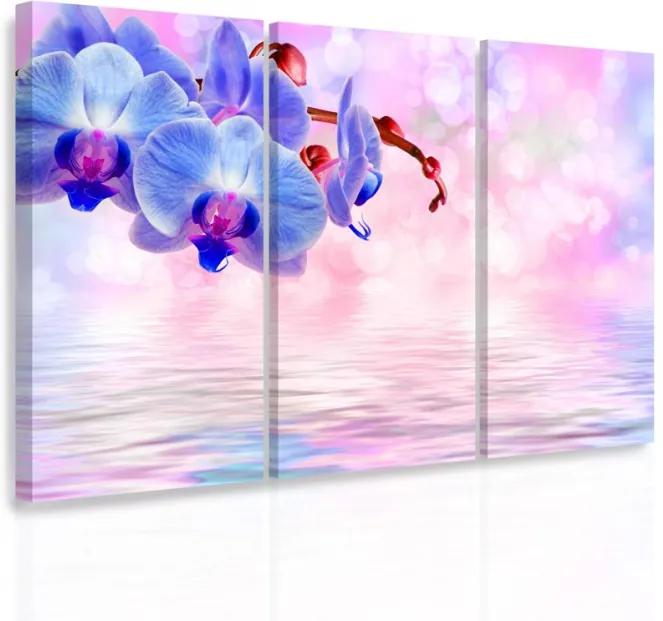 Vícedílný obraz - Modrá orchidej (90x60 cm) - InSmile ®