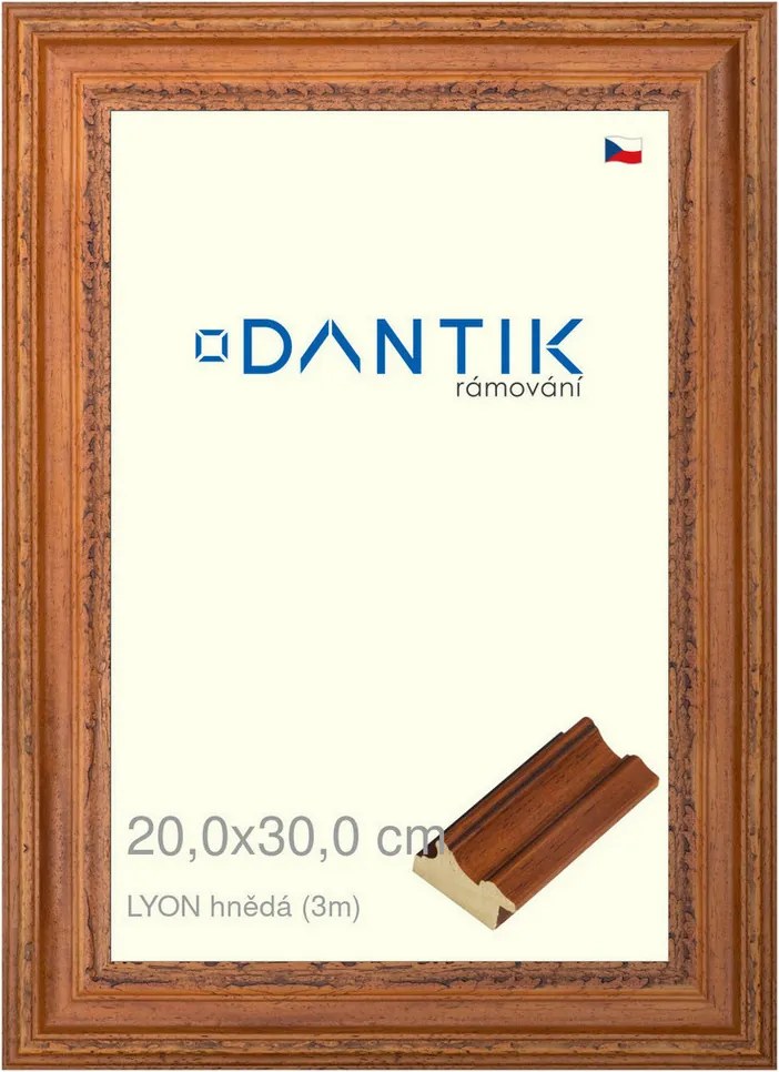 DANTIK rámeček 20x30 | LYON hnědá (Sklo Čiré)