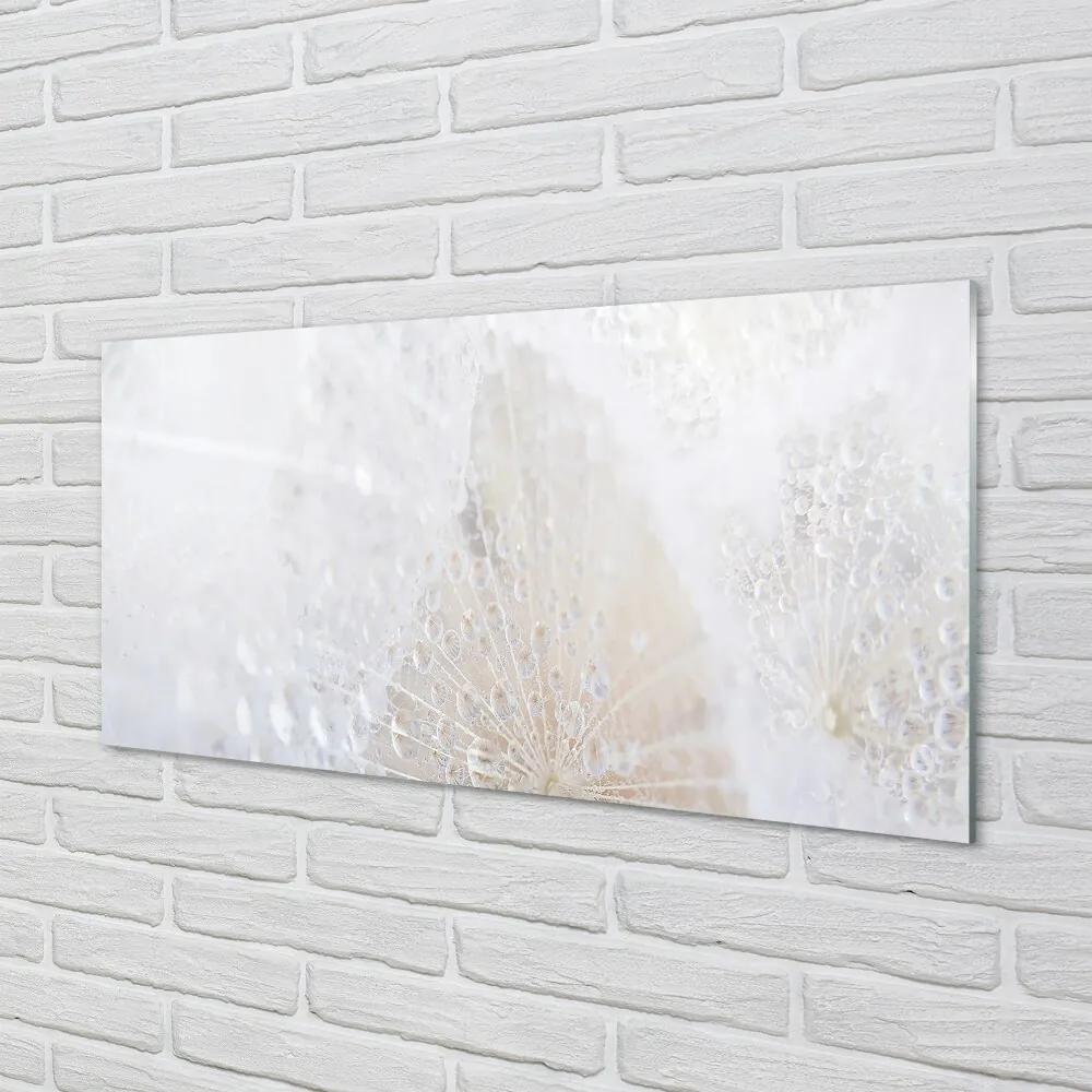 Obraz na skle Kapky pampeliška abstrakce 140x70 cm