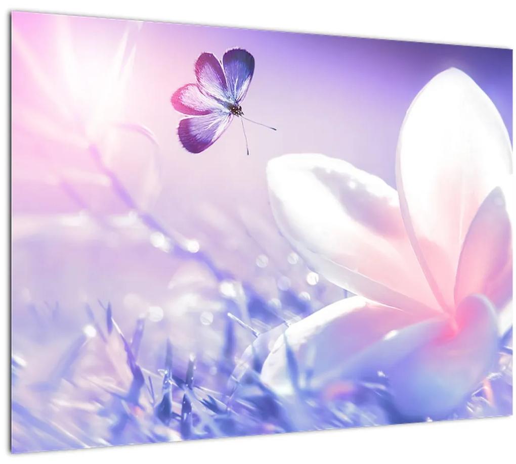 Skleněný obraz - Motýl přilítající na květ (70x50 cm)