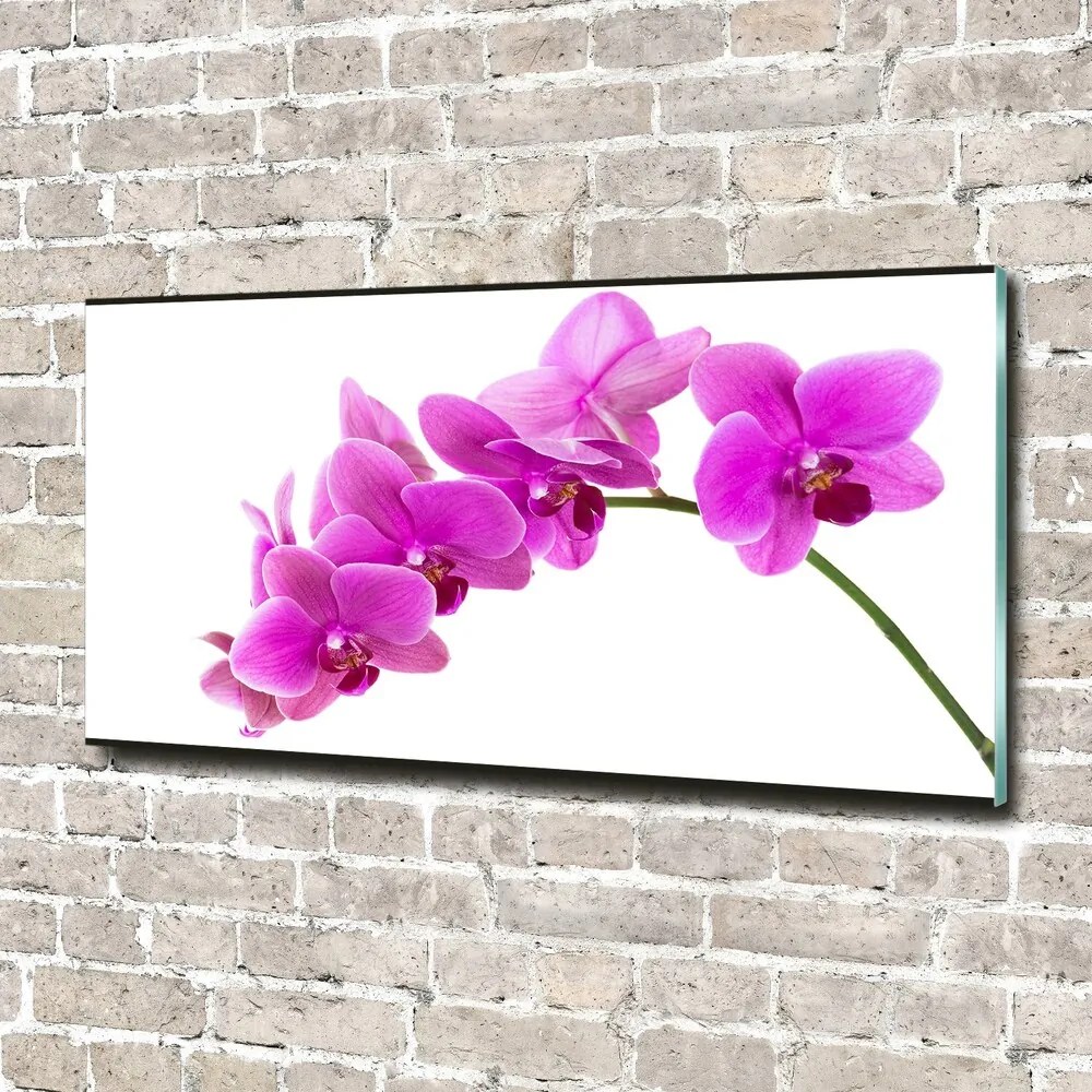 Wallmuralia Fotoobraz na skle Růžová orchidej 140x70 cm