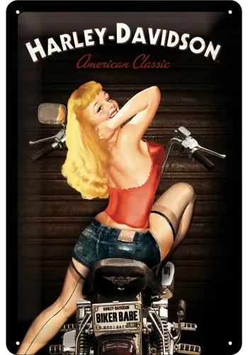 Postershop Plechová cedule - Harley-Davidson (Biker Babe) 30x20 cm