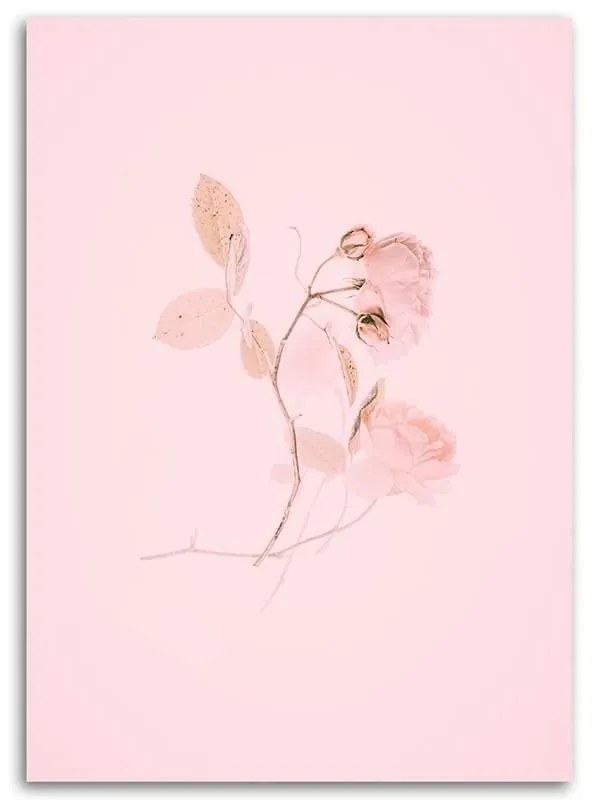 Obraz na plátně Květina Příroda Růžová - 60x90 cm