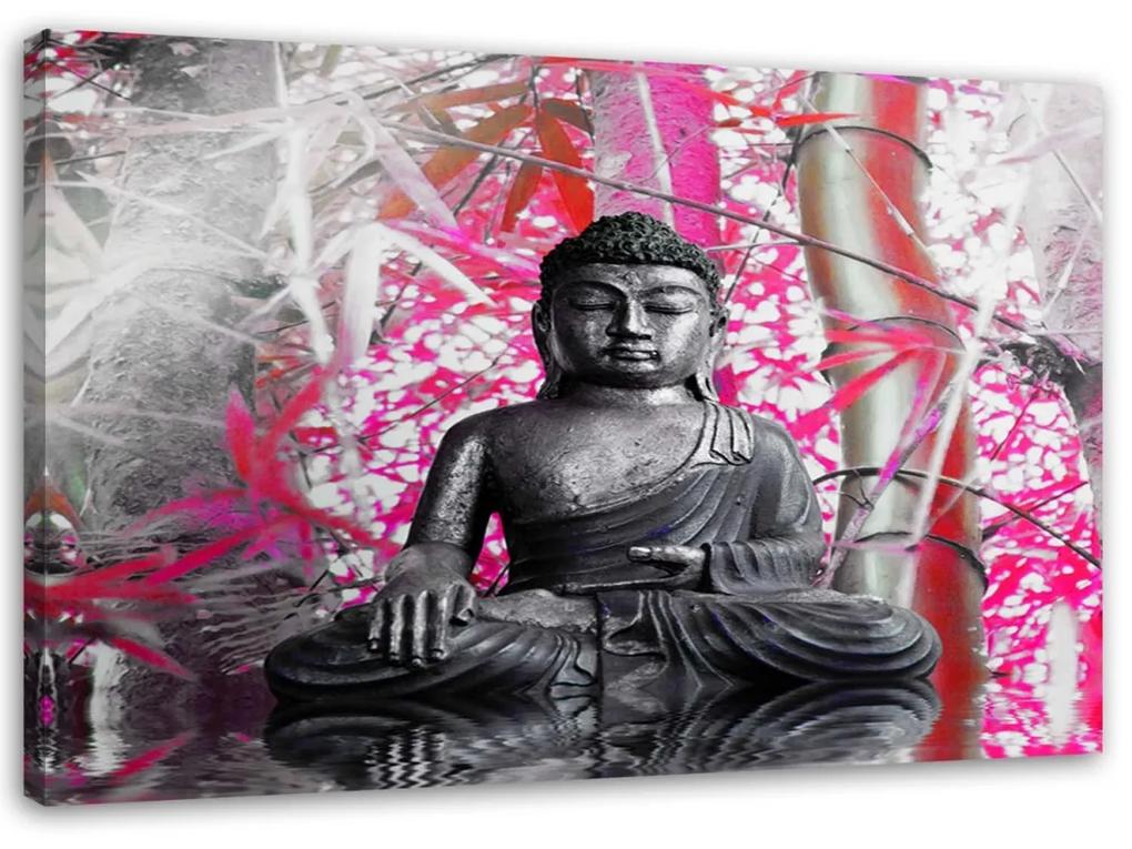 Obraz na plátně Buddha Bamboo růžový - 60x40 cm