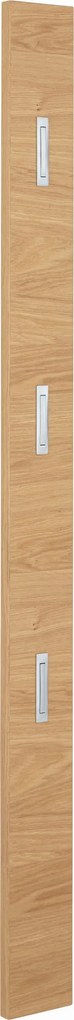 XXXLutz ŠATNÍ PANEL, barvy dubu, divoký dub, 14/170/3 cm Novel - Šatní panely - 001529002602