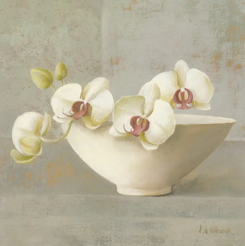 ART-STYLE Obrázek 30x30, orchidej v misce, rám bílý s patinou