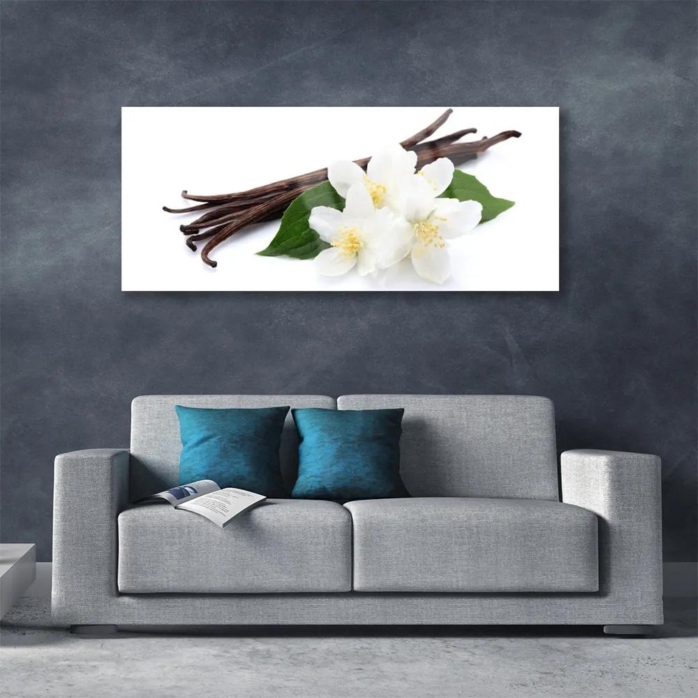 Plexisklo-obraz Tyčinka Vanilky do Kuchyně 125x50 cm