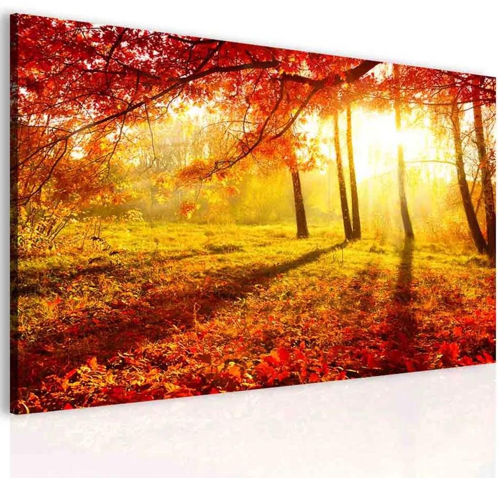 Malvis ® Obraz podzimní záře Velikost (šířka x výška): 90x60 cm