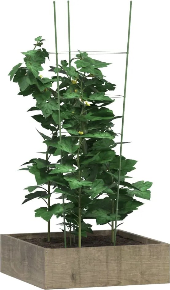 Opory pro zahradní rostliny se 4 kroužky 5 ks zelené 90 cm ocel 319375