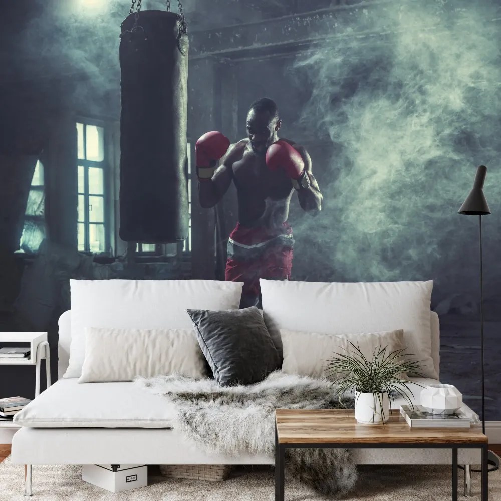 Fototapeta Boxer V Zakouřené Místnosti Hladký vinyl 104x70.5