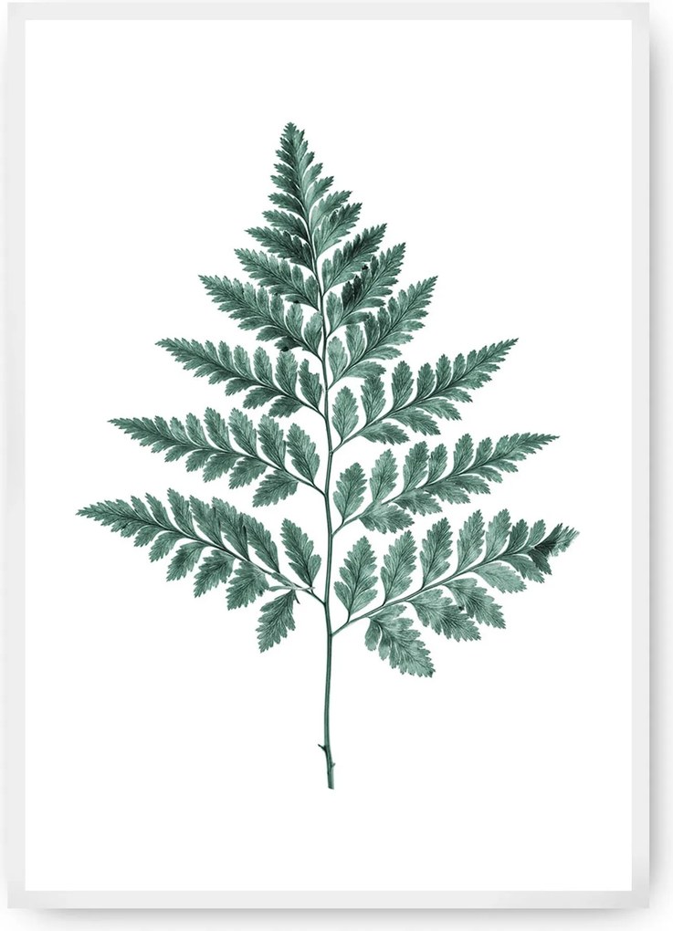 Plakát Fern Emerald Green