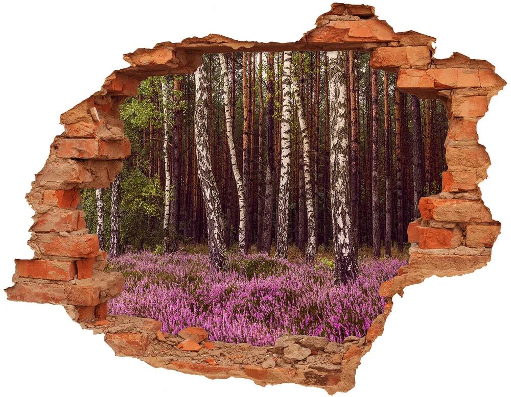 Wallmuralia Díra 3D ve zdi na stěnu Vřesoviště 90x70 cm