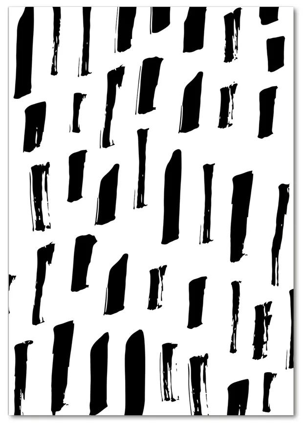 Wallmuralia Fotoobraz na skle Černo-bílá fleky 70x100 cm