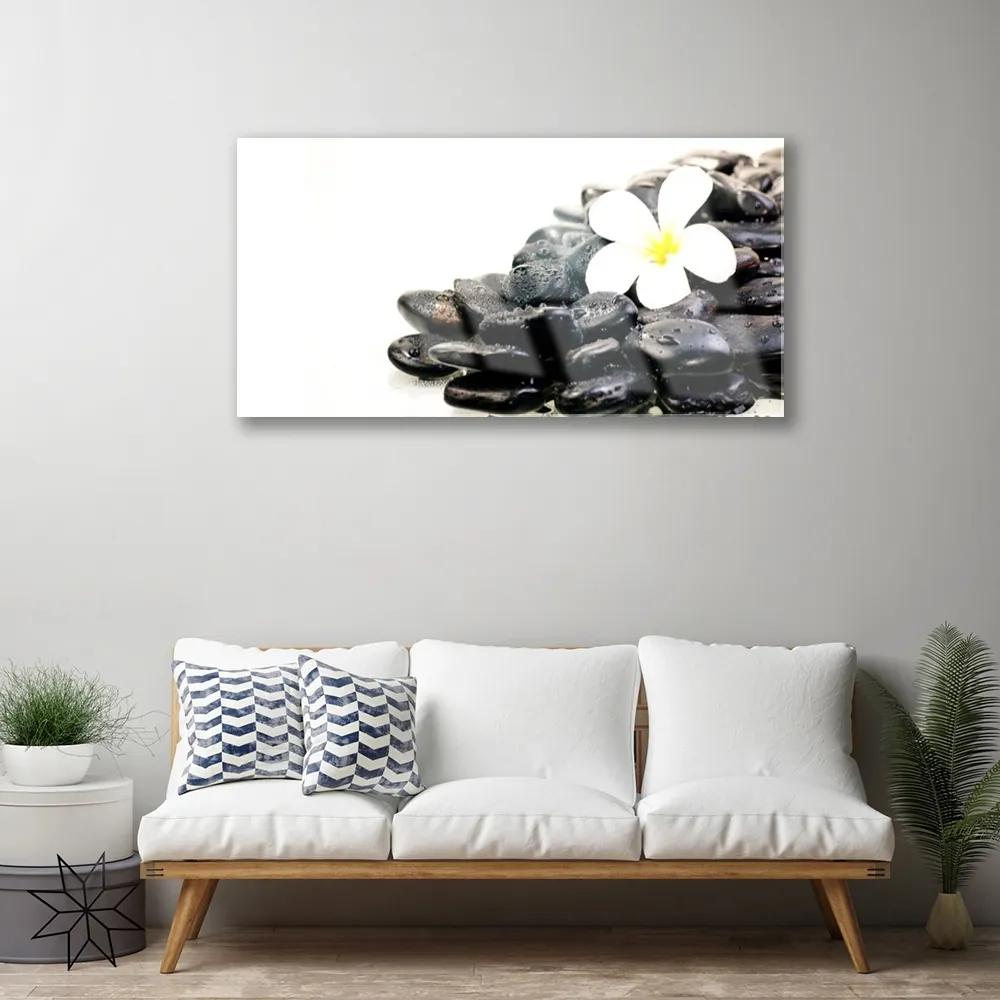 Obraz na skle Květiny Kameny Umění 120x60 cm