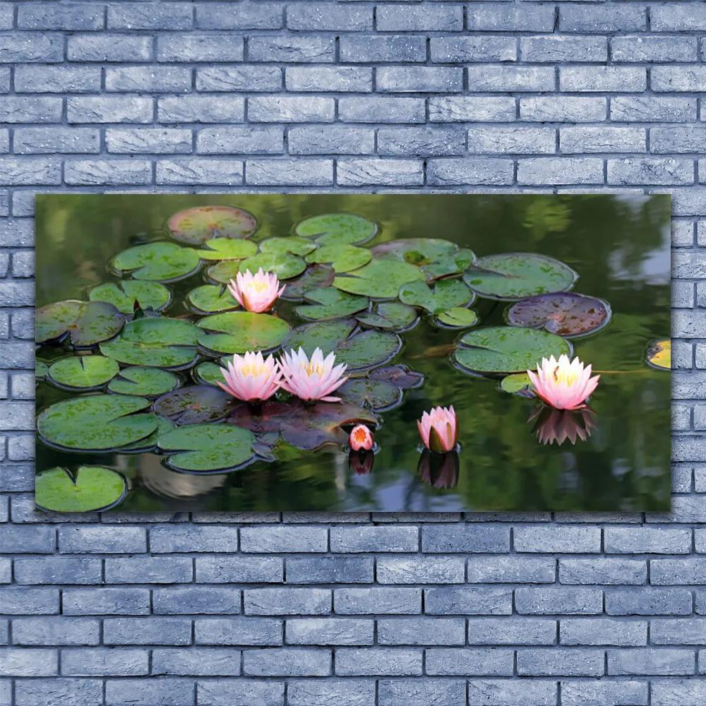 akrylový obraz Vodní Lilie Rybník Příroda 120x60 cm