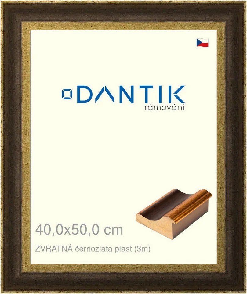 DANTIK rámeček 40x50 | ZVRATNÁ černozlatá plast (Plexi Čiré)