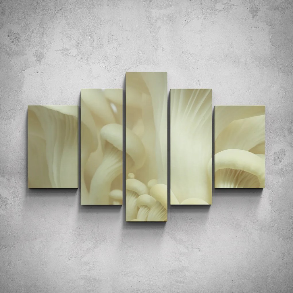 5-dílný obraz - Bílé houby - detail - PopyDesign