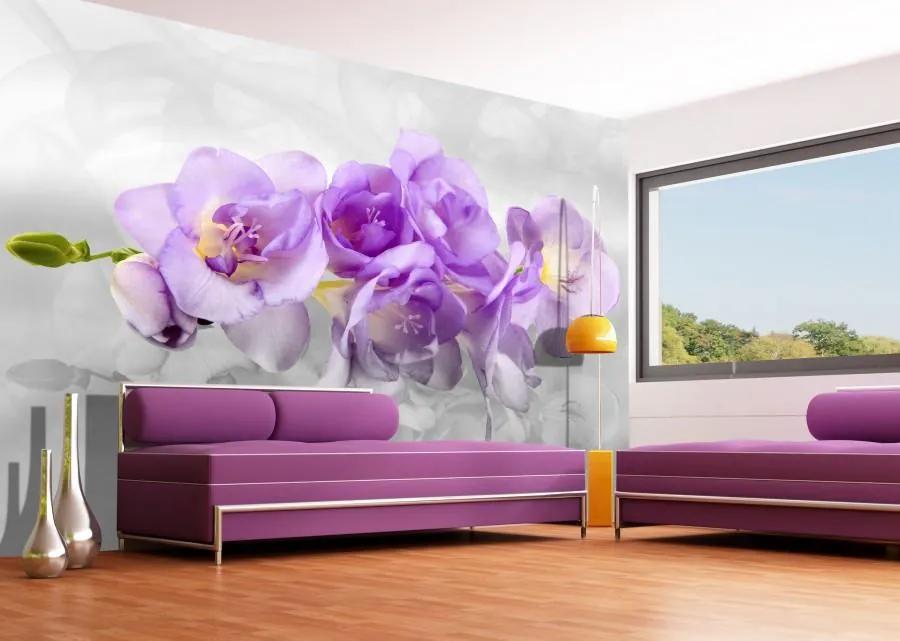 AG Design Čtyřdílná vliesová obrazová tapeta Orchidej FTN xxl 2400, rozměr 360 x 270cm
