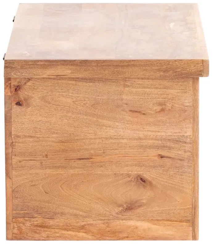 furniture-nabytek.cz - Masivní truhlice Delmar z mangového dřeva, hnědá – 88×88×44 cm