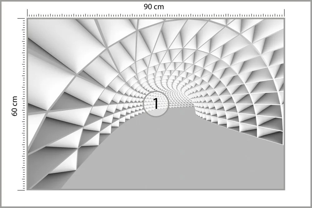 Fototapeta Les V Mlze Vliesová tapeta 104x70.5