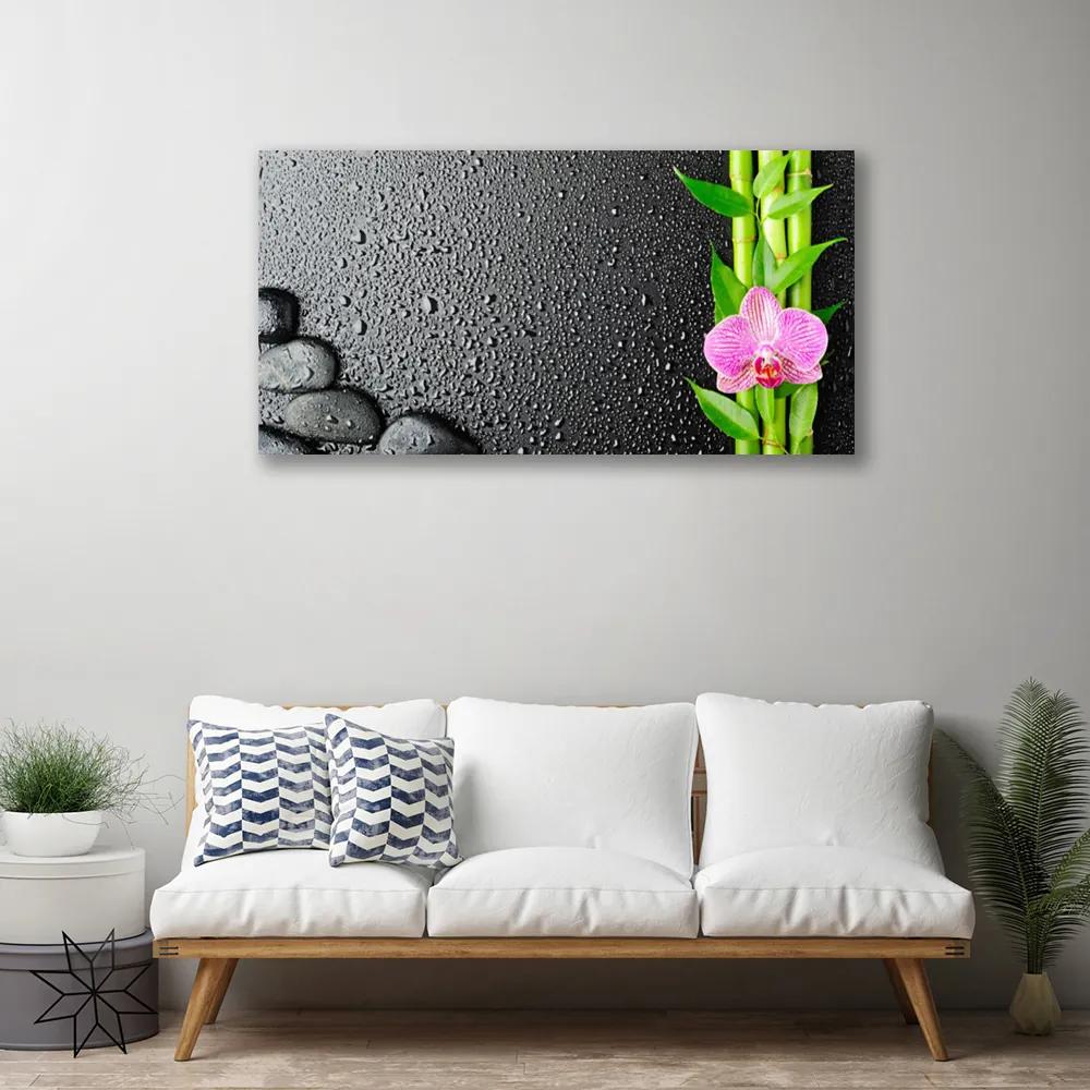 Obraz na plátně Bambus Stonek Květ Rostlina 125x50 cm