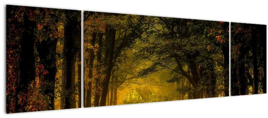 Obraz lesu (170x50 cm)
