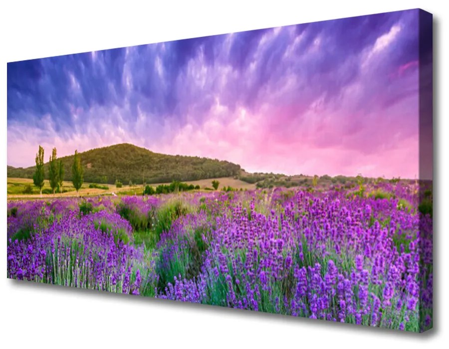 Obraz na plátně Louka Květiny Hory Příroda 140x70cm