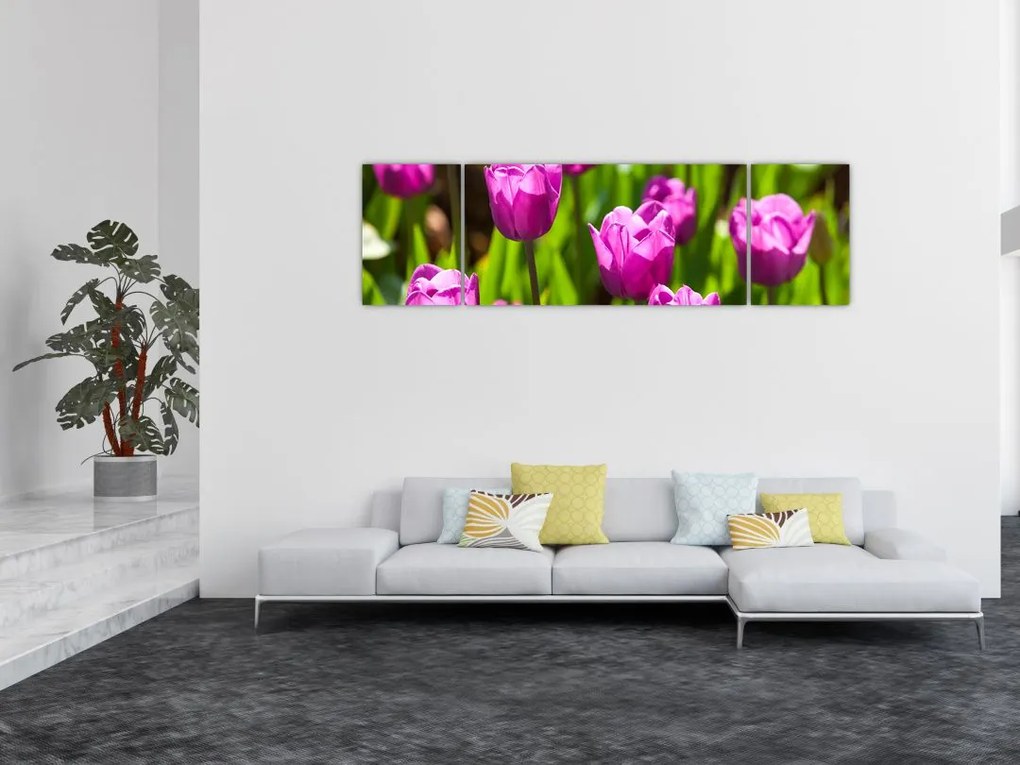 Obraz tulipánů na louce (170x50 cm)