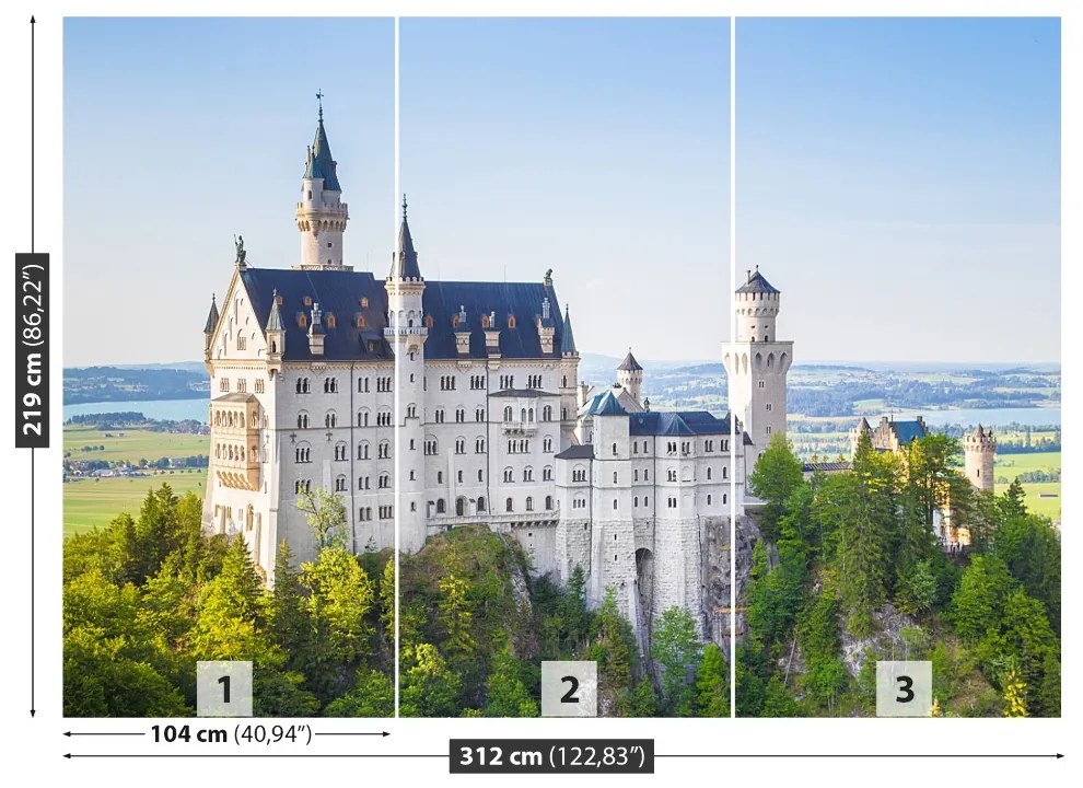 Fototapeta Neuschwanstein 104x70