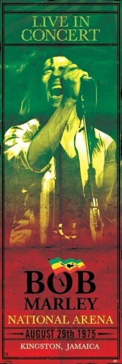 Plakát, Obraz - Bob Marley - concert, (53 x 158 cm)
