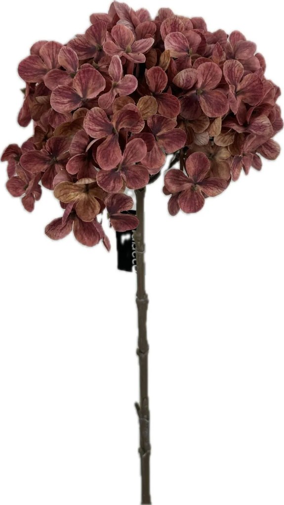 XXXLutz DEKORAČNÍ KYTICE 64 cm - Umělé květiny - 001131036302