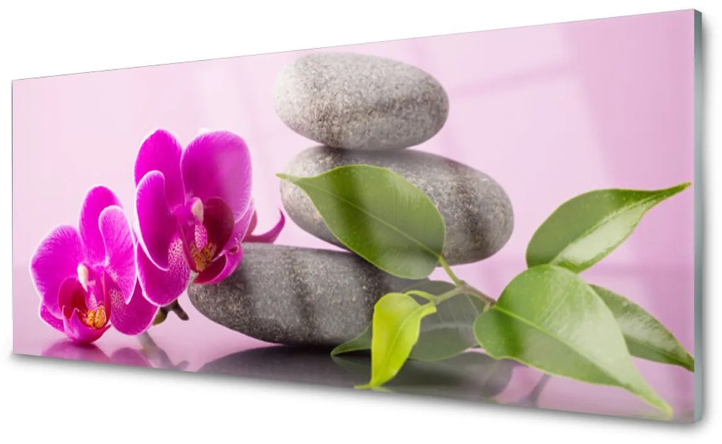 Plexisklo obraz Květ Kameny Zen Rostlina