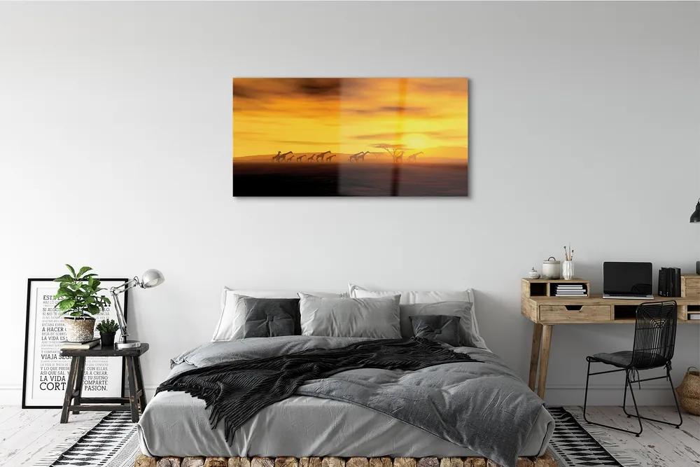akrylový obraz Strom mraky nebe žirafa 125x50 cm