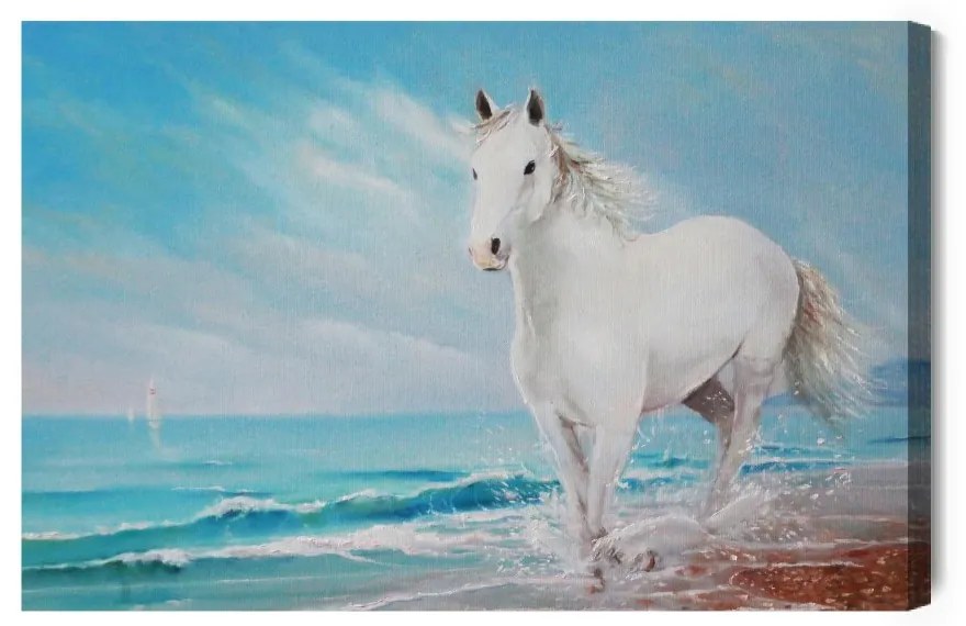 Obraz Bílý Kůň Na Pobřeží Nedostatek Nedostatek Plátno Canvas 30x20