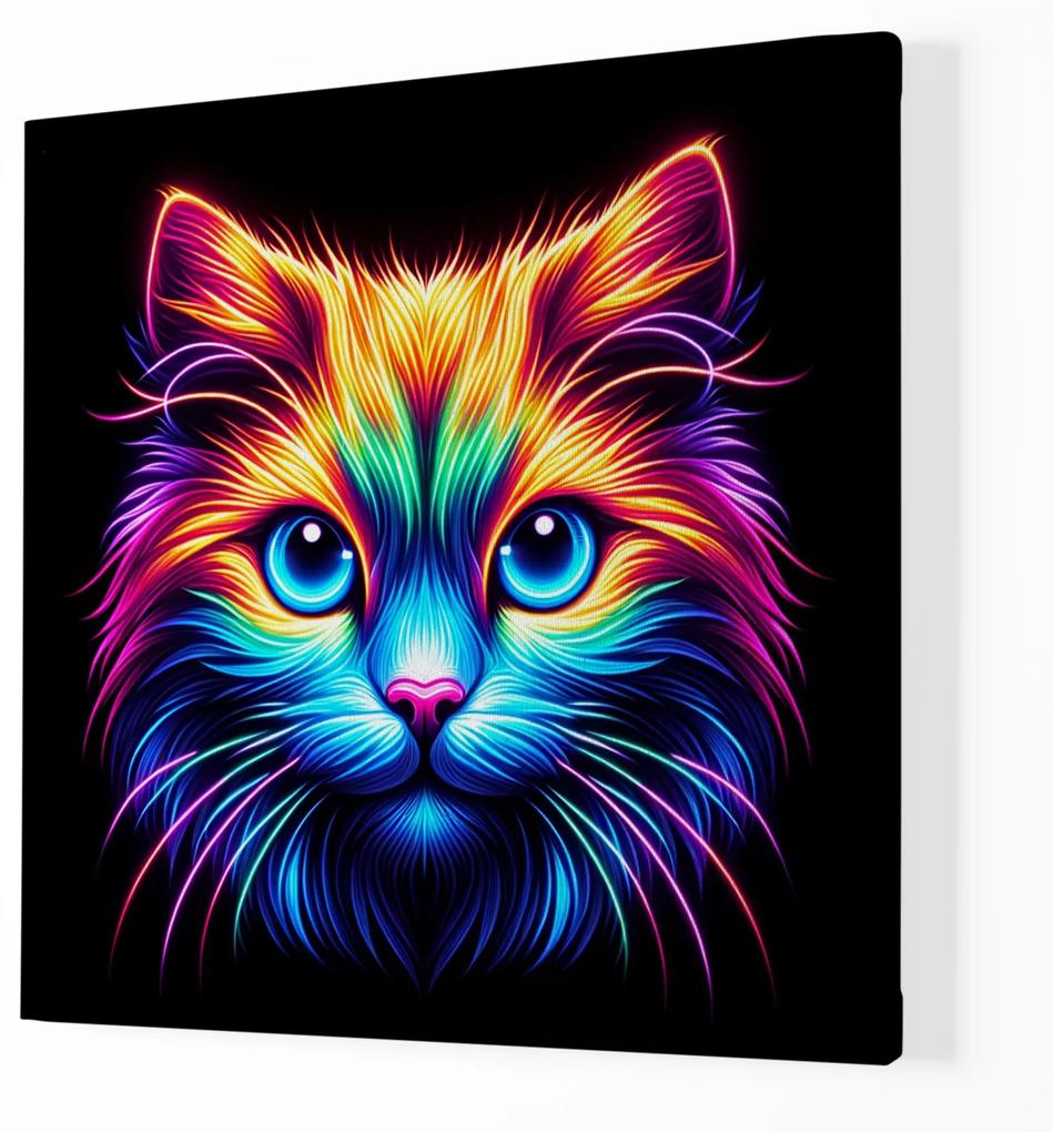 Obraz na plátně - Barevná neonová kočka FeelHappy.cz Velikost obrazu: 100 x 100 cm