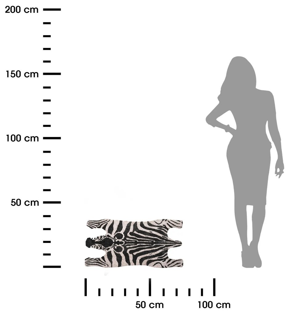 Venkovní rohožka Zebra, 75x40 cm