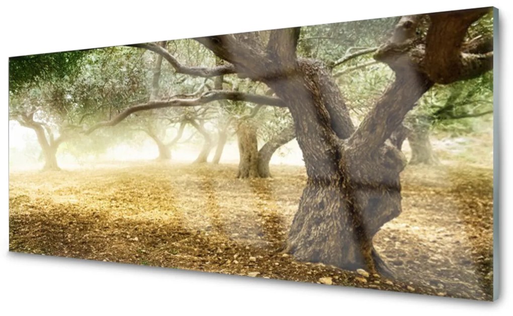 Akrylové obraz Strom Tráva Příroda