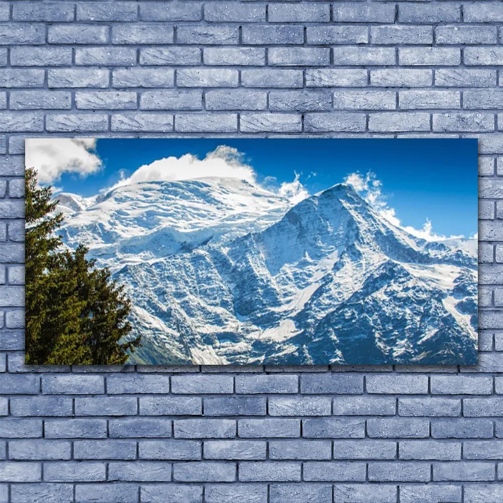 akrylový obraz Hora Strom Krajina 120x60 cm