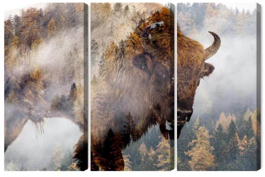 Vícedílný obraz Bizon Na Pozadí Mlžného Lesa Nedostatek Nedostatek Přírodní plátno 180x120