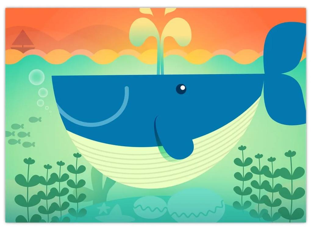 Obraz - Veselá velryba (70x50 cm)