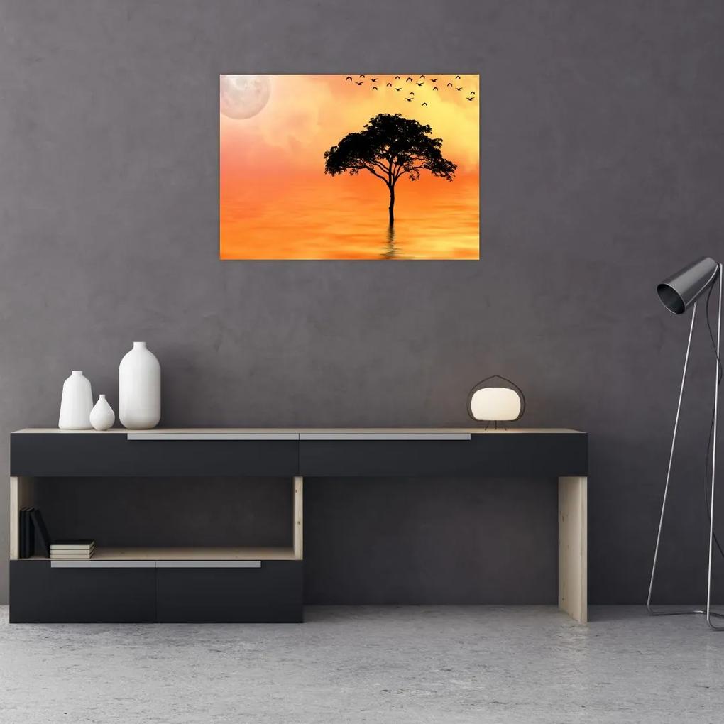 Skleněný obraz stromu v západu slunce (70x50 cm)