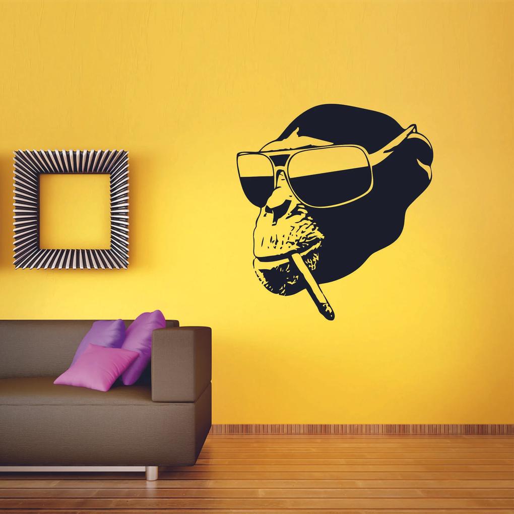 Samolepka na zeď - Opička s cigaretou (109x120 cm) - PopyDesign