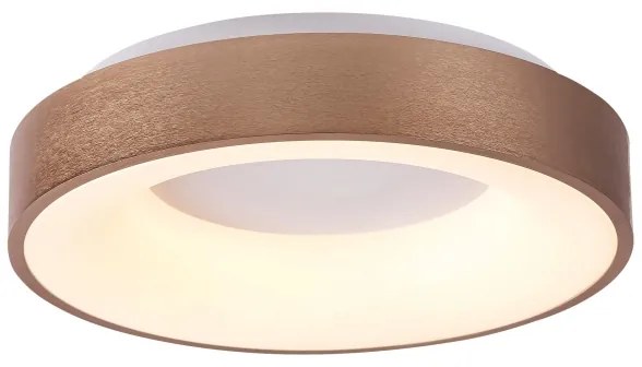 Rabalux 5052 - LED Stropní svítidlo CARMELA LED/30W/230V