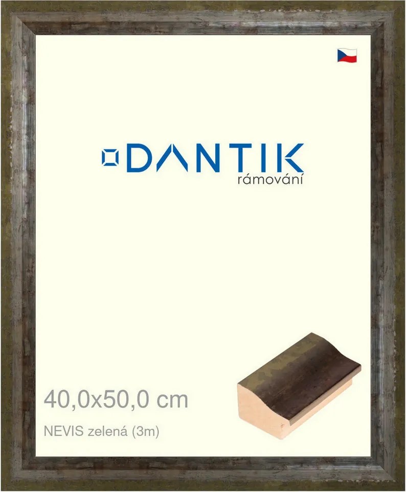 DANTIK rámeček 40x50 | NEVISzelená (Sklo Čiré)