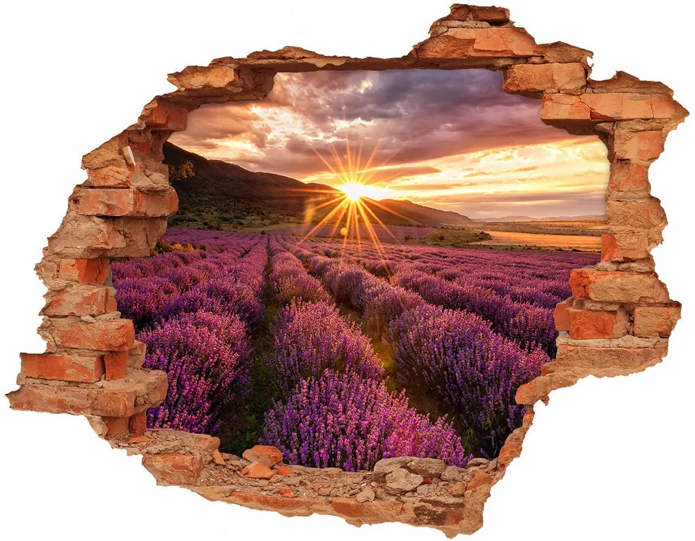 Wallmuralia Nálepka fototapeta 3D výhled Pole levandule 90x70 cm