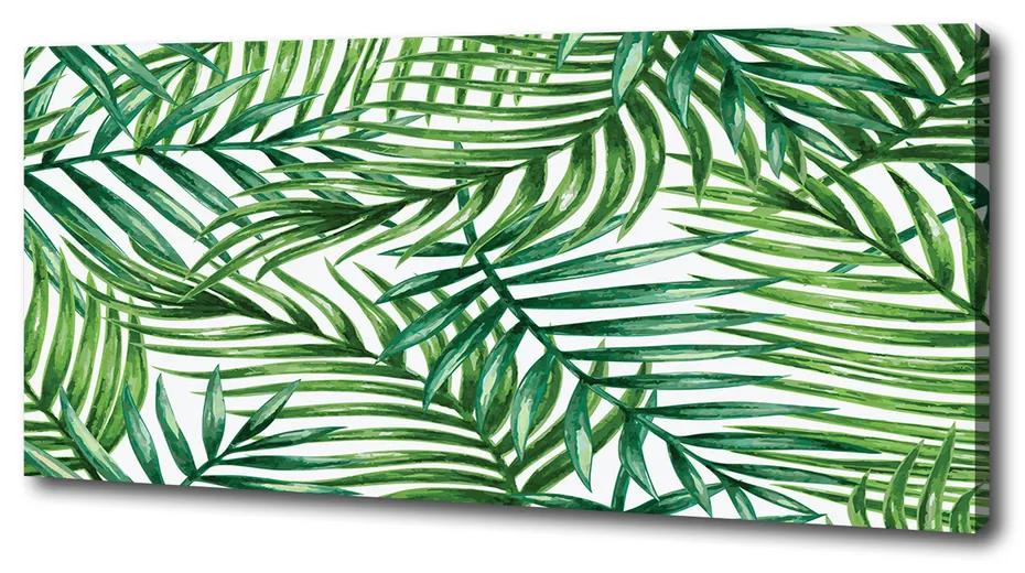 Wallmuralia Foto obraz na plátně Listí palmy 125x50 cm