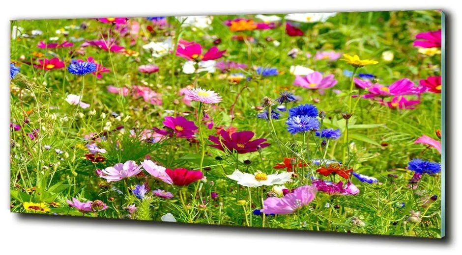 Wallmuralia Fotoobraz na skle Plolní květiny 125x50 cm
