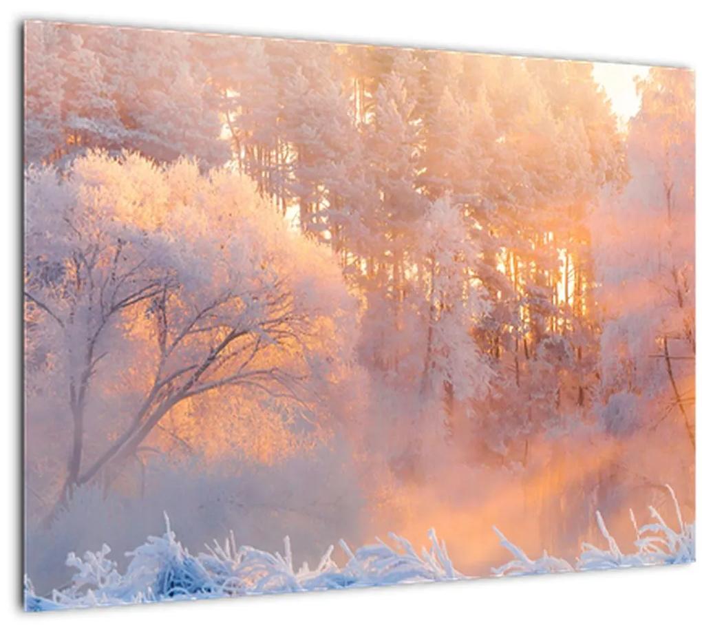 Obraz - Mrazivé svítání (70x50 cm)
