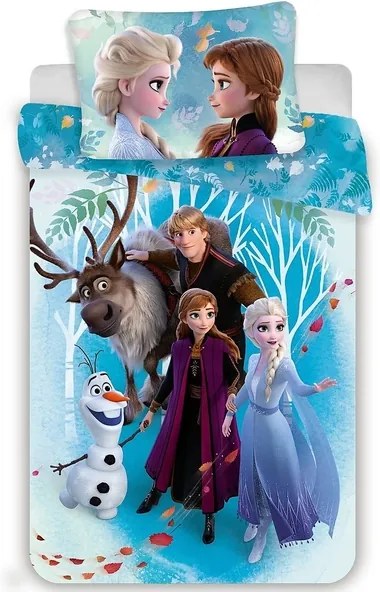 Jerry Fabrics povlečení bavlna Frozen 2 family 140x200+70x90 cm