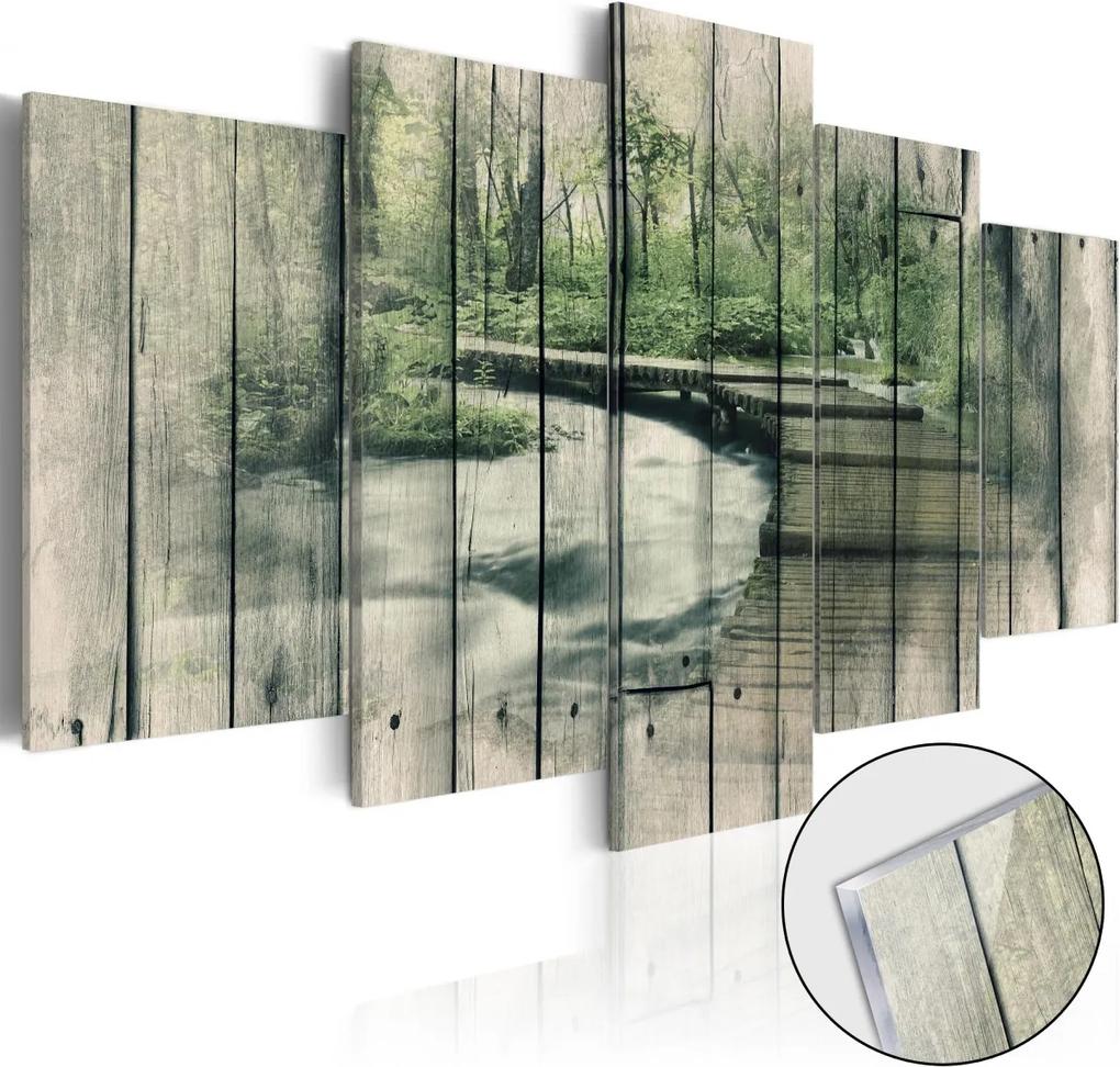 Obraz na akrylátovém skle - The River of Secrets [Glass] - 100x50